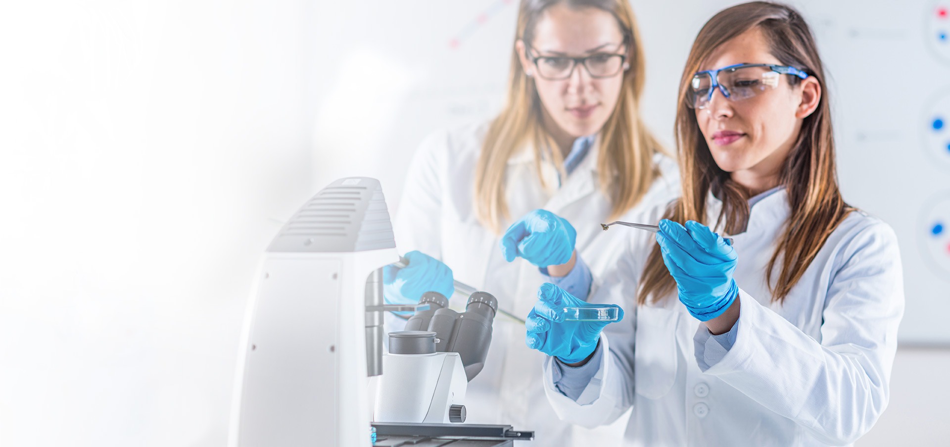 Medical Laboratories of Windsor